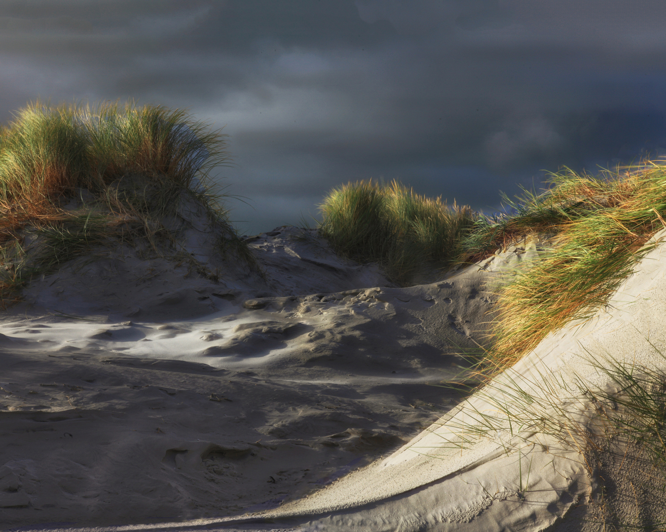 Jan Faber photography - Schiermonnikoog - natuur
